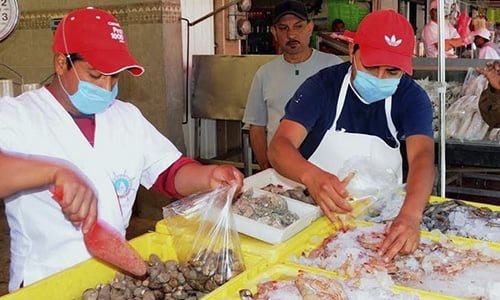 Recomendaciones para consumir productos del mar |Periódico ¿Por qué?